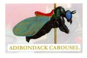 Episode 18: Black Fly Season | Adirondack Experience