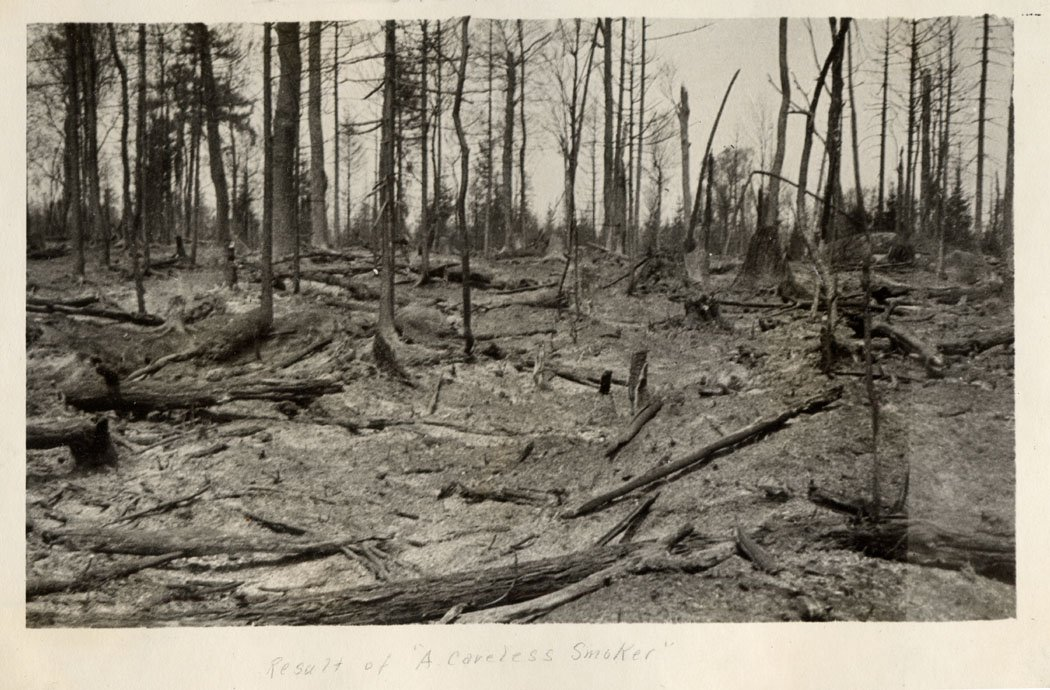 Episode 25: Fire in the Forest | Adirondack Experience